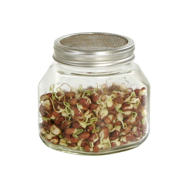 Germoir verre 750ml sans support